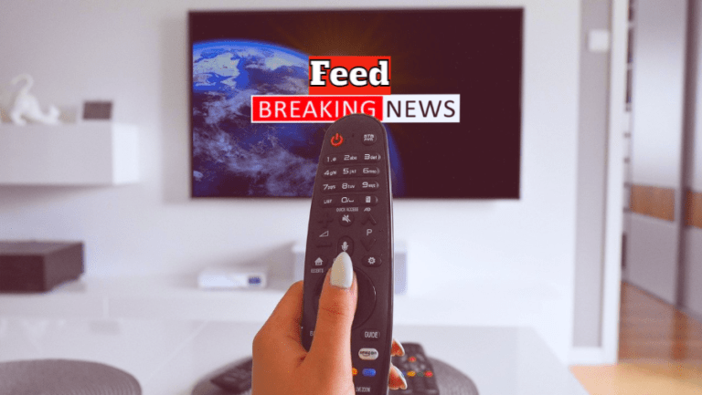 Content Feed - Keep your SEO Strategies Updated